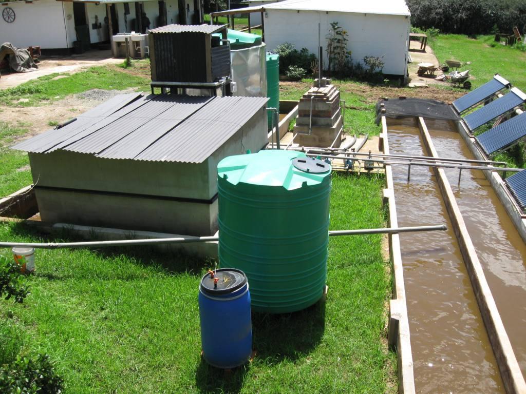 Algae Biodiesel: Is It Practical For Off Grid Applications?