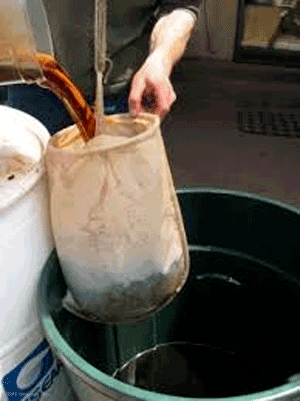Using WVO or Waste Vegetable Oil for Biofuel Off Grid