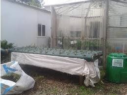 Hydroponic Growing Systems: Growing Plants Without Pests | Off Grid Living